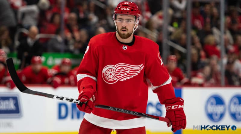 Red Wings HC Jeff Blashill Pleased With D Filip Hronek’s Third NHL Season