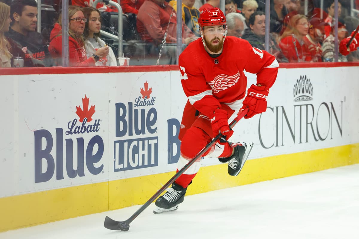 After serving as a healthy scratch the last two games, Filip Hronek ...